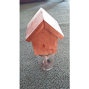 Amish-Made Rustic Carpenter bee catching Device