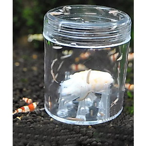 Planaria Trap Leech & Flatworm Trap/Catcher for Shrimp Tank or Aquarium by Awesome Aquatic (Combo 1 ea Glass 3 / Plastic 8 Hole)