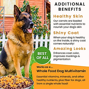 Olewo Bundle Original Carrots for Dogs & Rootsies Dog Food Toppers – Ultimate Dog Digestive Support, Sensitive Stomach Dog Food, Gut Health for Dogs, Fiber for Dogs – 2.2 lbs Each (4.4 lbs Total)