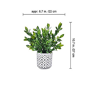 Winlyn Set of 2 Artificial Potted Plants Potted Eucalyptus Plant Artificial Grass in Modern Concrete Plant Pots Outdoor