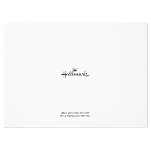 Hallmark Assorted Blank Cards (Stripes, Floral, Polka Dots, Bird, 40 Cards with Envelopes)