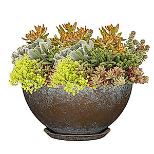 Classic Home and Garden 807-188T Premiere Collection Planter, Vogue 8", Earth