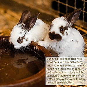 Himalayan Small Pets Lick Salt Block on Rope Natural Small Animal Mineral Salt Block Chew Toys with Hanging Rope Rabbit Mineral Salt Chew Treat Supplies for Bunny Chinchilla Hamster Ferret (8PCS)