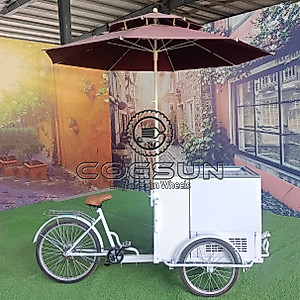 Ice Cream Cart Bicycle with Commercial Refrigerator Ice Cream Cart With Three Wheels for Business Food Vending Cart for Sale with Trailer Awning