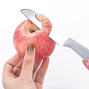 WISELADY Fruit Knives with Comfortable Handle, Paring Knife, Small Kitchen Knife with Sharp Blade, Paring Knife for Cutting and Preparing Fruit and Vegetables (Pink)