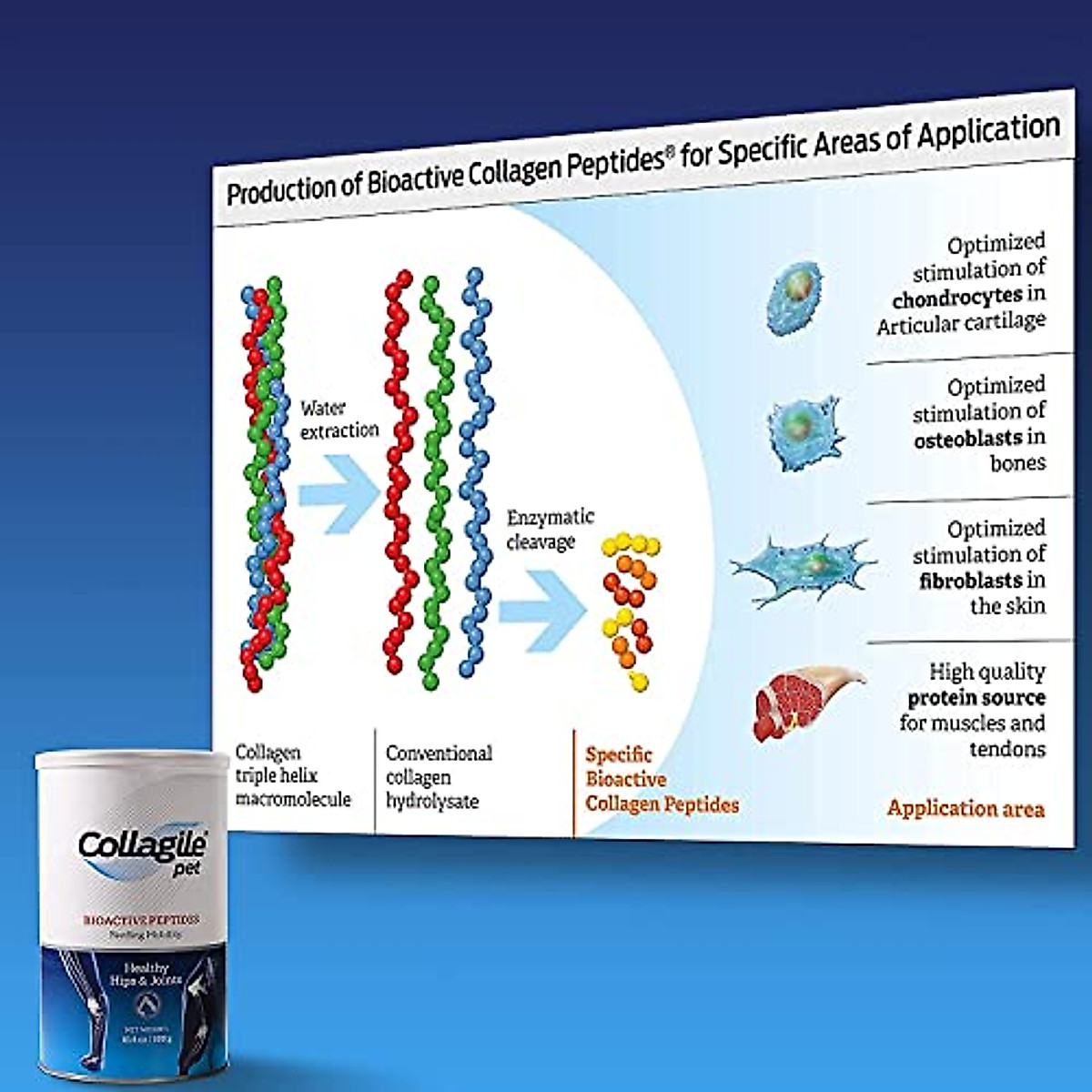 COLLAGILE® pet - Dog Hip & Joint Care | Effective Powder Supplement | Clinically Tested by Vets | 100% Natural | Tasteless and Odorless