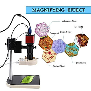 SDGH Industrial Microscope Set 60F/S VGA Multimedia Interface Microscope Camera 1280 * 1024