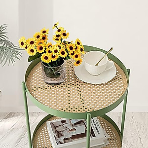 danpinera Metal Side Table, Imitation Rattan Green End Table with 2 Tier Removable Tray, Round Table for Small Spaces, Small Tables for Living Room 20.47 Inch x 16.54 Inch