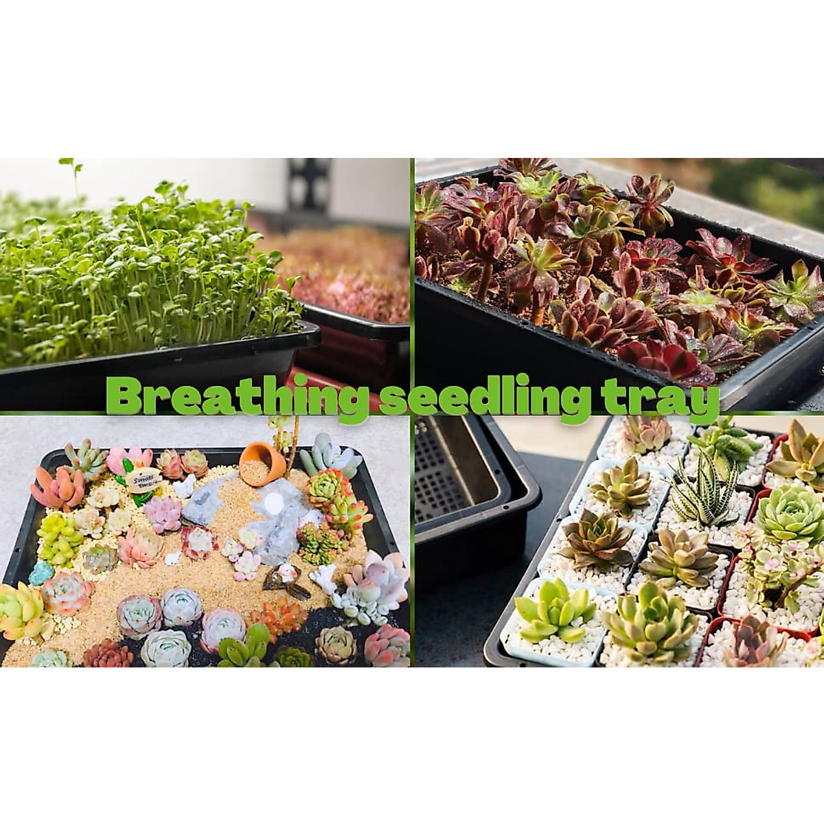 BeGrit Seed Starter Trays 5-Pack 15x12 inch Mesh Bottom Tray Plastic Plant Trays Garden Seedling Starter Kit for Plants,Microgreens,Soil Blocks,Wheatgrass,Hydroponic and Fodder Systems