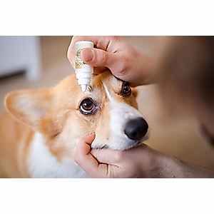 LumenPro Pet Eye Drops - Advanced Vision Support Eye Drops for Dogs with Cataracts - Lanosterol Eye Drops with Antioxidants +NAC Solution - Cataract Drops for Dogs, Cats, Horses, Rabbit (10ml)