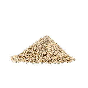 Bob's Red Mill Organic Scottish Oatmeal, 20-ounce (Pack of 4)