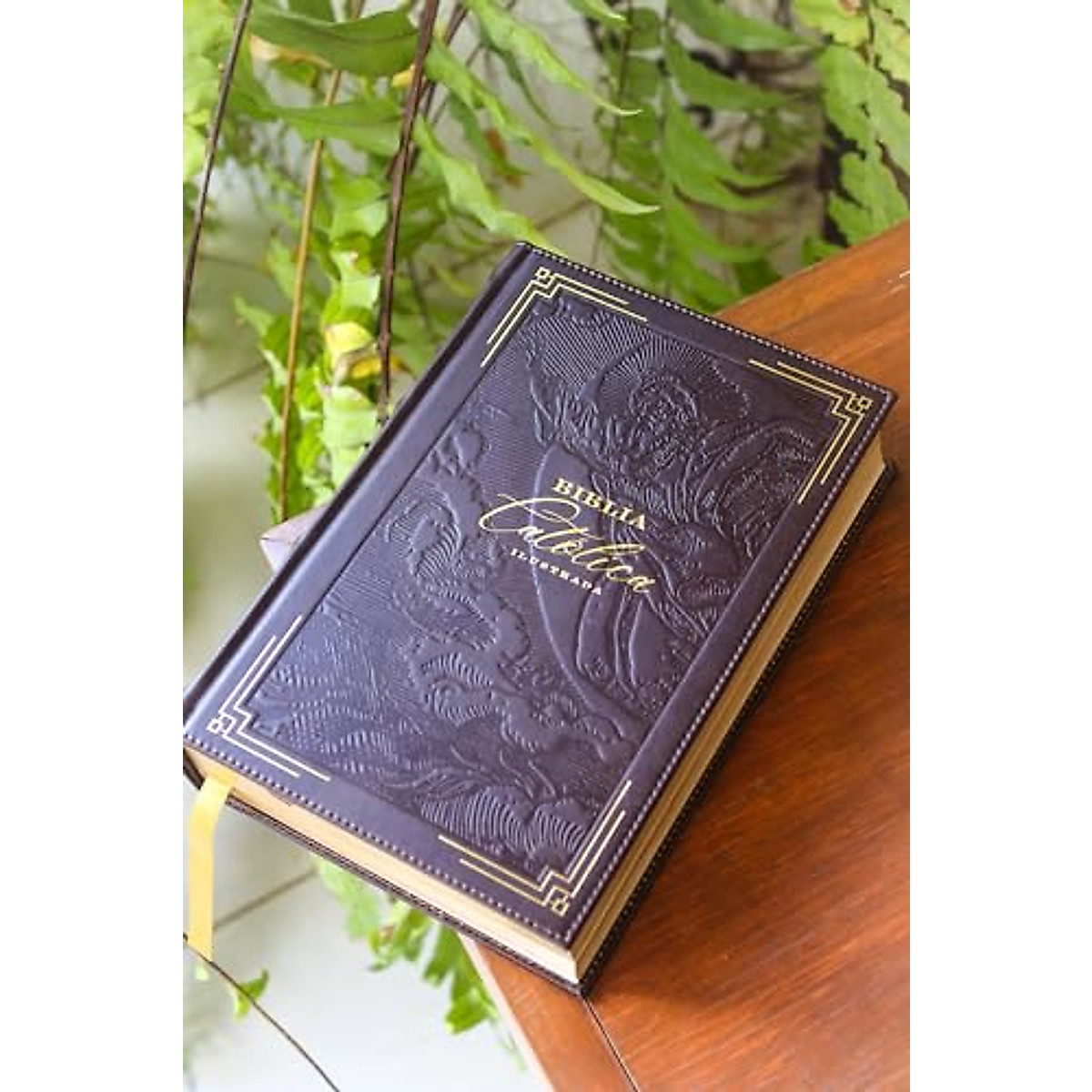 Biblia Católica, Ilustrada, Piel genuina, Café, Comfort Print (Spanish Edition)