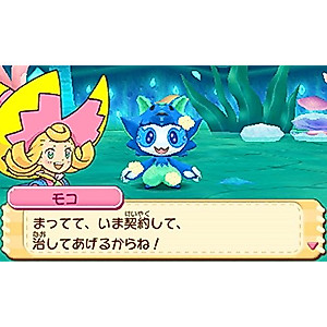 The Apprentice Witch and Fluffy Friends