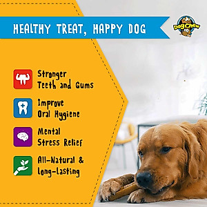 Tibetan Dog Chew Yak Cheese Sticks - Natural Treats for Small Dogs, Longer Lasting, Digestible, Promotes Dental Health, Rawhide, and Grain-Free, Ideal for Aggressive Chewers, 5-Pack