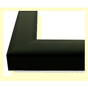 buyartforless Work Framed Sublime Crazy Fool Brad Nowell Long Beach 36x24 Music Art Print Poster, Beige