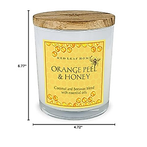 Red Leaf Home Orange Peel and Honey Candle, Large | Honeycomb Collection, Aromatherapy, Gift | 15.5oz Jar