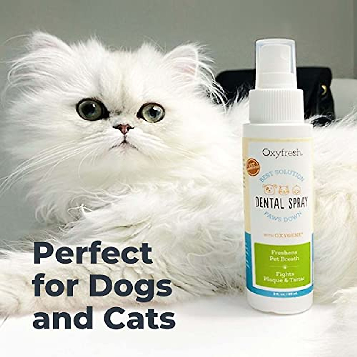 Oxyfresh Advanced Pet Dental Spray – Instant Pet Fresh Breath: Easiest No Brushing Pet Dental Solution for Dogs and Cats – Best Way to Fight Pet Plaque, Keep Teeth & Gums Healthy. 3oz.