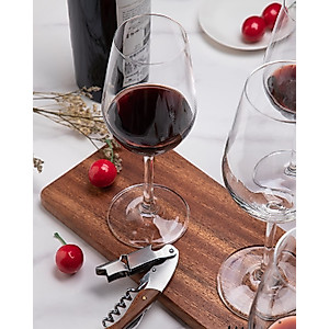 GIFORYA Wine Glasses Set of 2,16 OZ Crystal Clear Wine Glasses, Long Stem Red & White Wine Glasses for Daily Use or Birthday Gift, Lead-Free Premium Drinking Glassware