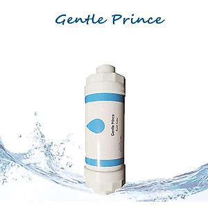 Gentle Prince ION WATER Bidet filter - Premium Bidet Filter for Electronic Bidet Toilet Seats (4PCS)