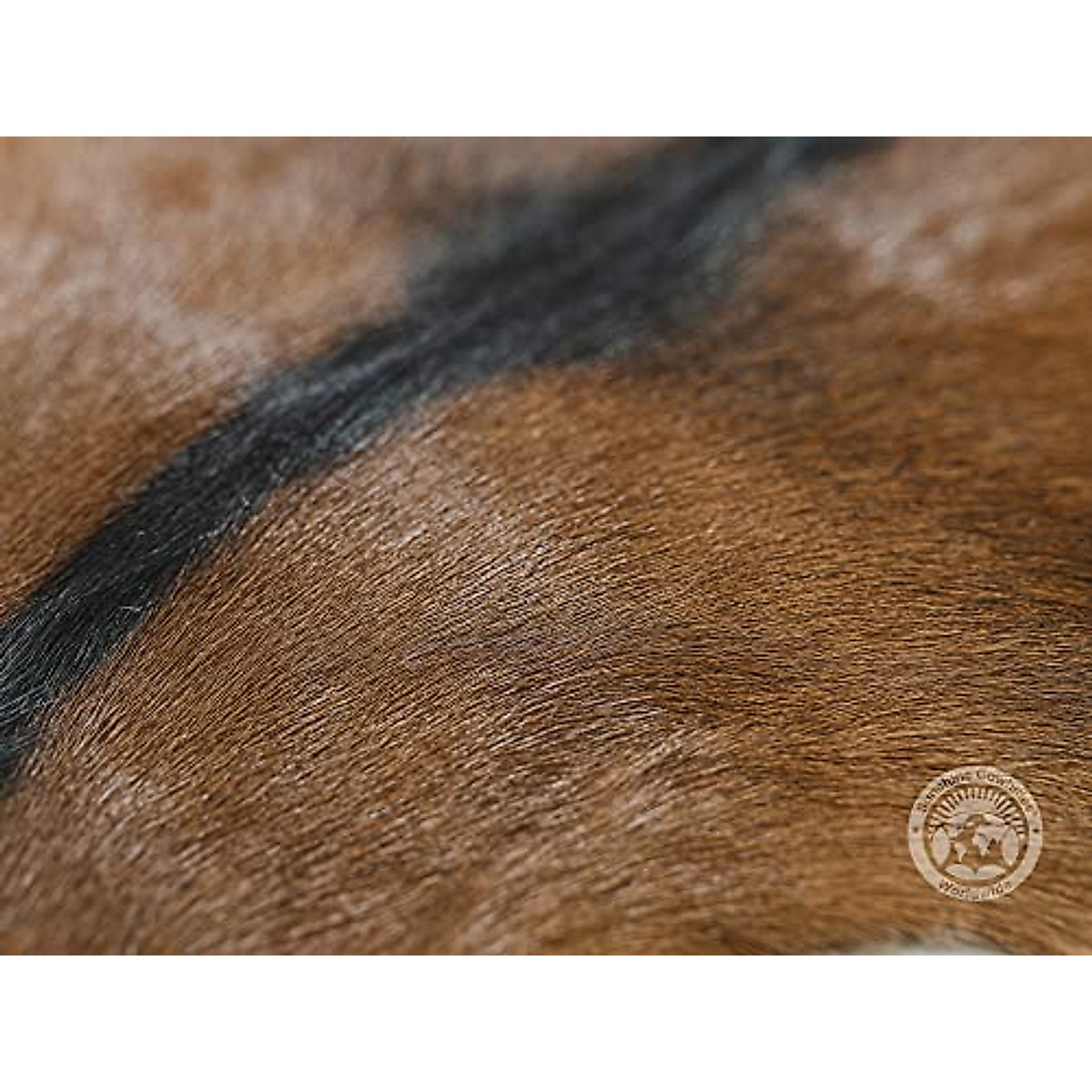 Sunshine Cowhides Genuine Goatskin Rug Goat Skin Goat Hide Goat Skin Rug Exotic 2 x 3 ft.