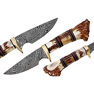 Damascus Steel Hunting Knife - Fixed Blade Knives with Sheath - Firm Grip Handle Made of Stag Horn(ST2)