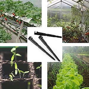 LUTER 50pcs Irrigation Drip Support Stakes Plastic for 1/4" Drip Lines Tubing Hose for Gardens, Flowers, Plants, Vegetable