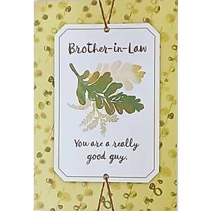 Greeting Card Brother-in-Law You Are A Really Good Guy - Hope You Have Day That's Full of All The Happy Things A Birthday Can Bring
