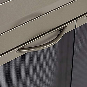 Pleasant Hearth CB-3301 Colby Fireplace Glass Door, Sunlight Nickel, Medium