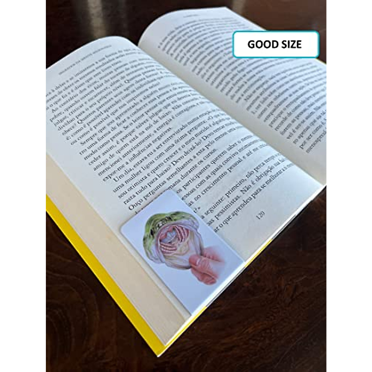 Magnetic Bookmarks - Largemouth Bass - Magnet Page Clips Set of 3 - Fish Lovers Gifts - Book Markers - Gift for Fisherman - Unique Fishing Gift