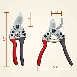 Gardzen 8" Bypass Pruning Shear Garden Scissors, SK5 Sharp Precision Cut Steel Blade Pruner, Blade Lock
