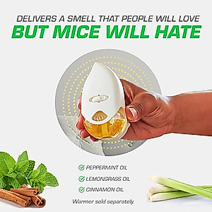 Tomcat Rodent Repeller Essential Oil Refill Pack Plug-In with Lemongrass, Cinnamon, and Peppermint Oil, 2 Refill Bottles