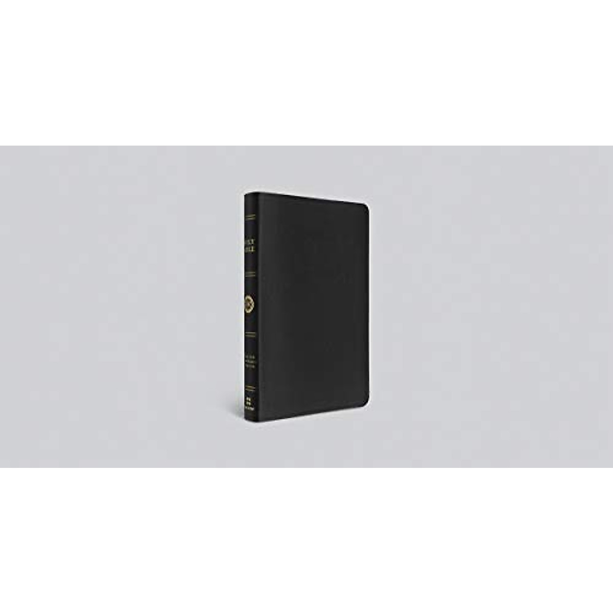 ESV Thinline Bible (Black)