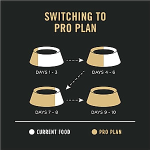 Purina Pro Plan Sensitive Skin and Stomach Dog Food Salmon and Rice Formula - 40 lb. Bag