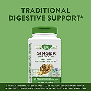Nature's Way Ginger Root, Traditional Digestive Support*, 1110 mg Per Serving, Non-GMO Project Verified, 240 Capsules