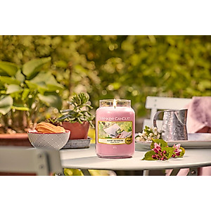 Yankee Candle Small Jar Candle - Sunny Daydream Scented Candle - Up to 30 Hours Burn Time - Garden Hideaway Collection