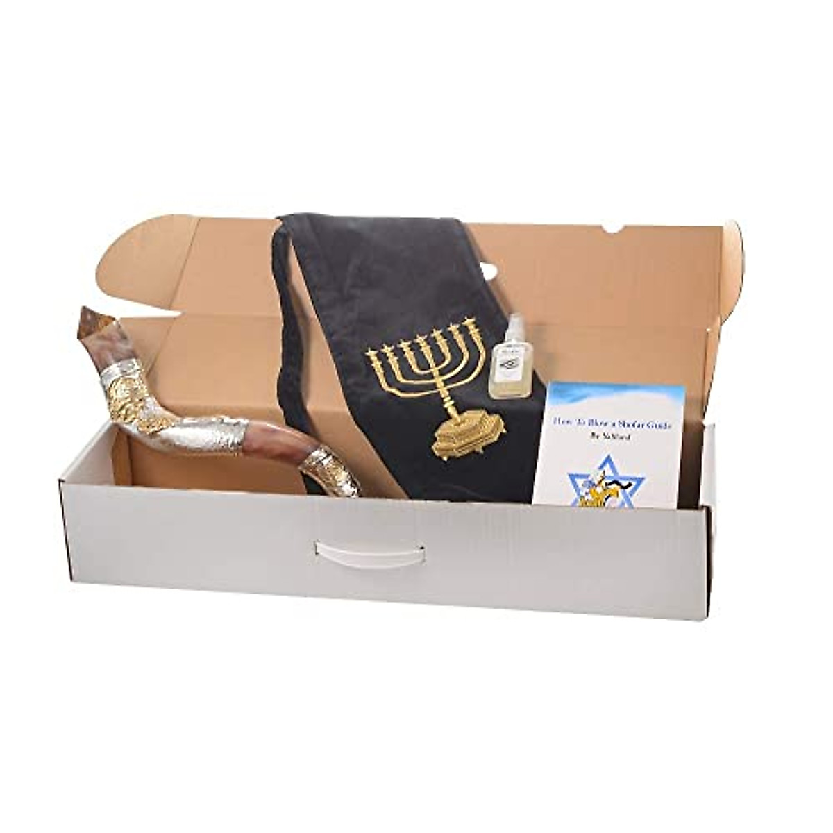 Shofar from Israel Polish Polished Silver Plated Set Kudu Horn Yemenite Lion Of Judah + Bag + Spray + Guide + Carrying Box Case (30"-32")