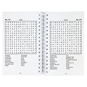 Word Search Puzzles (Big Book of Puzzles) (Brain Busters)