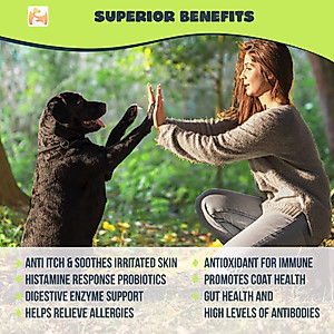 Best All Allergy Immune Supplements for Dogs- Made in USA- Omega 3 Wild Salmon Oil + Vitamins & Minerals- Seasonal Allergies Support- Itch & Hot Spots Relief- Digestive Probiotics | 170 Soft Chews