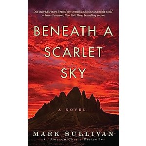 Beneath a Scarlet Sky: A Novel