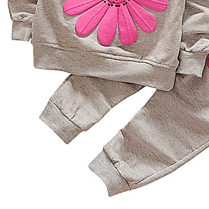 Avidqueen Toddler Baby Girls Sunflower Clothes Set Long Sleeve Top and Pants 2pcs Outfits Fall Clothes (Grey,Age 3T)