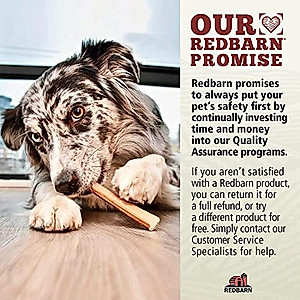 Redbarn All Natural Dog Treats Made in The USA - Healthy Dog Snacks - Nutritious Training Treat - Grain Free Dog Treats - Supports Hip and Joint for Dogs - Tasty Beef Lung Dog Treats - Bully Nuggets