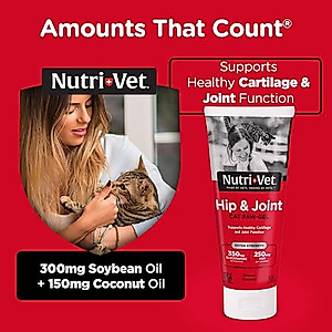 Nutri-Vet Cat Hip & Joint Paw Gel | Cat Joint Supplement | Glucasomine, MSM, and Chondroitin | Tasty & Easy to Give | 3 Ounce Tube