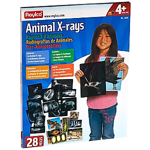 Roylco Animal X-ray Set – 14 Realistic Animal Skeleton Images for Homeschool Science, Classroom Anatomy Lessons, and Lab Studies – Hands-On STEM/STEAM Learning for Kids