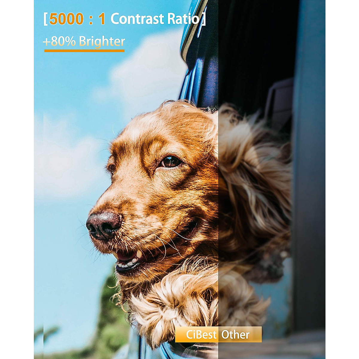 Mini Projector for iPhone, 1080P DVD Projector with Bluetooth and 120 inches Screen, Portable Video Projector for Outdoor Family Movie Night Compatible Phone/HD/Stick/USB,Built in DVD Player Projector