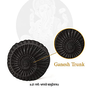 Vedic Vaani Siddh Vishnu Vinayak Divine Sudarshan Shaligram Stone Shila (Pack of 4)