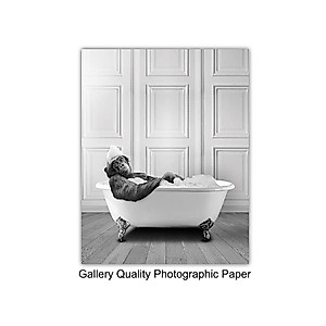 Cute Bathroom Wall Art & Decor - Funny Bathroom Decor for Women, Kids - Cow Elephant Bear Giraffe Penguin Wall Art Set - Bathroom Pictures - Bath Wall Decor - Bathroom Accessories - Powder room Sign