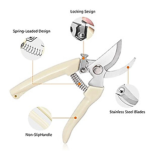 Garden Scissors for Plant, Tip Pruning Shears for Cutting Flowers, Trimming Plants, Bonsai and Fruits Picking (Bypass Blade Pruner)