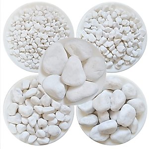 5 Pounds River Rocks Pebbles Natural Stones, As Aquarium Rocks Fish Tank Gravel, Decorative Rocks for Aquariums,Plants,Planters,Landscaping - White