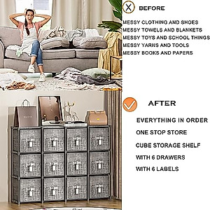 LUKYTOWER Cube Storage Organizer Shelf with 6 Printed Bins + Labels, Cubby Storage Organizer with Bins, Large Capacity Shelves for Storage,Closet, Living Room, Dorm, Yarn