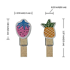 SaktopDeco 60 Counts Mini Summer Theme Wooden Clothespins Small Decorative Wood Peg Pin Craft Clip Pattern of Fruits Ice Cream Musical Instruments